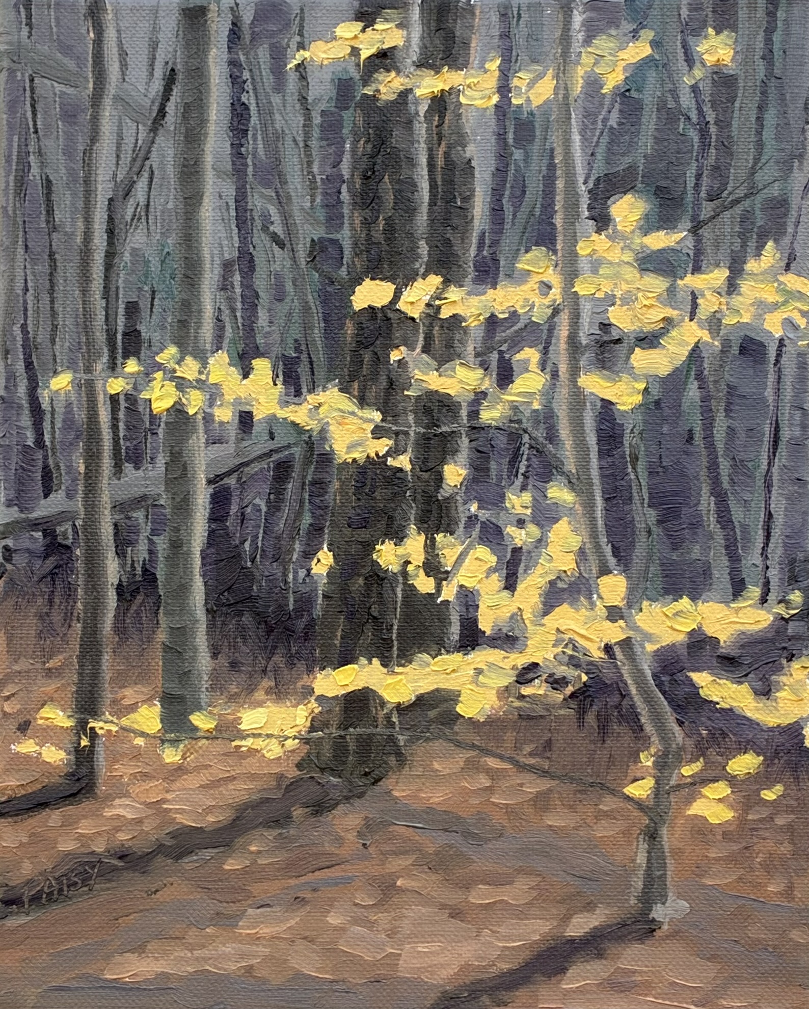 2026 Paintings | Patsy Cooner Art